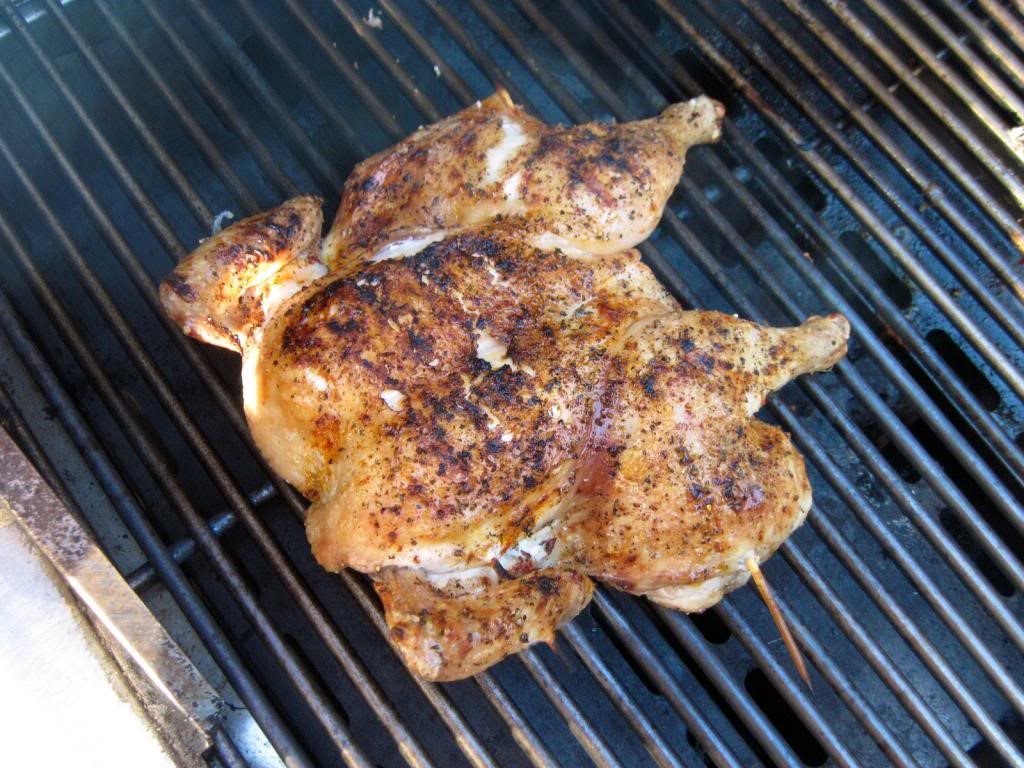 Poultry and Chicken Free e-Cookbook - Cooking Secrets for Men